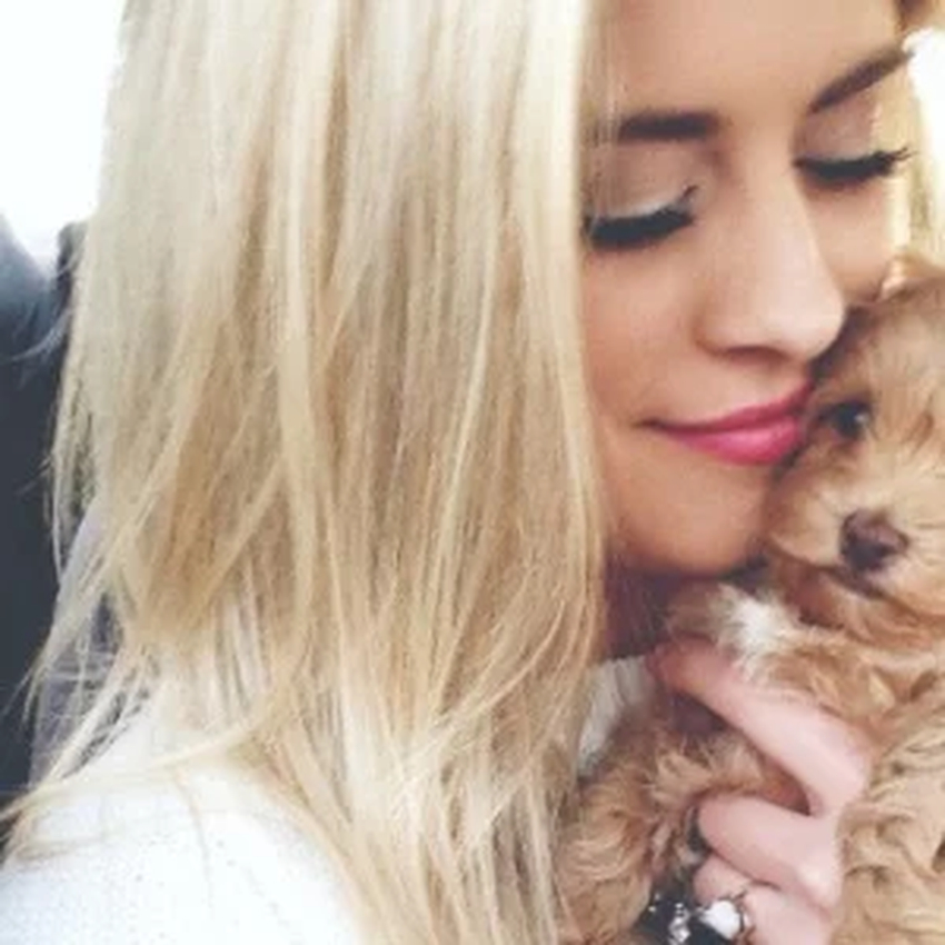 Whitney Simmons Wiki