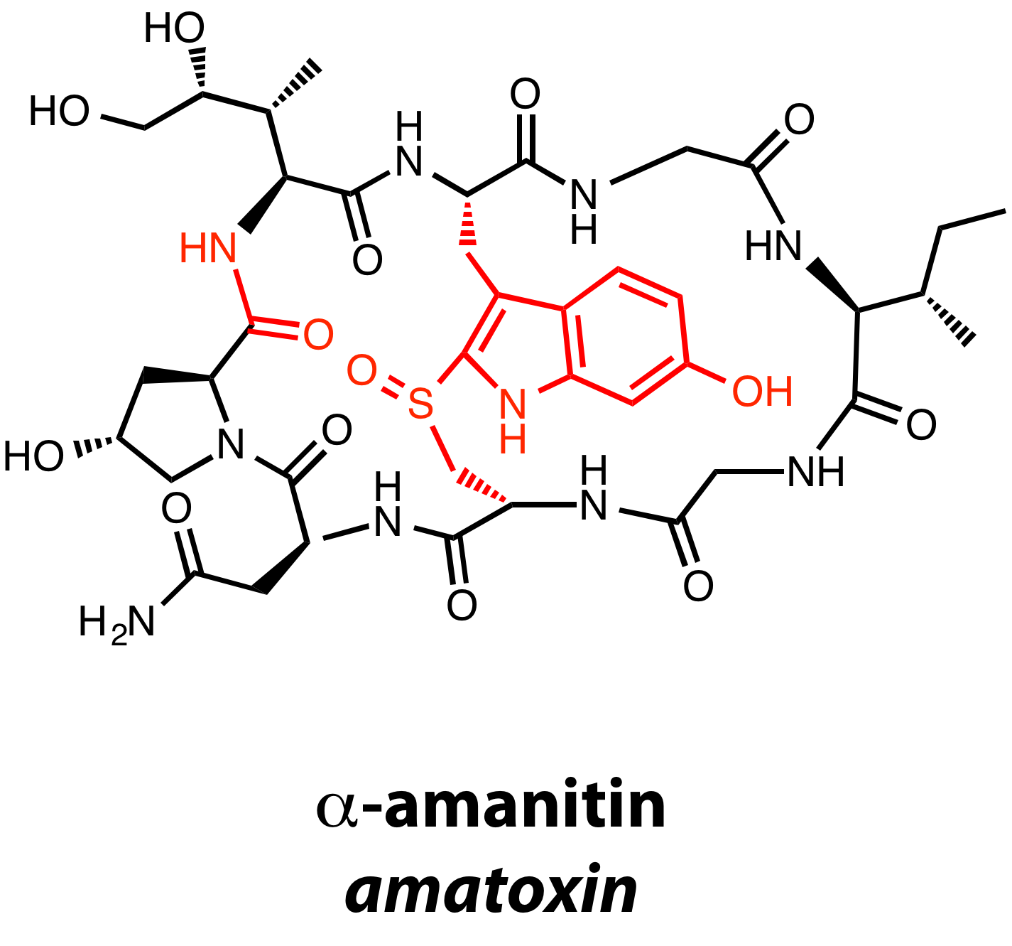 Ribosomally synthesized and post-translationally modified peptides ...