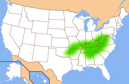 Upland South | Wiki | Everipedia