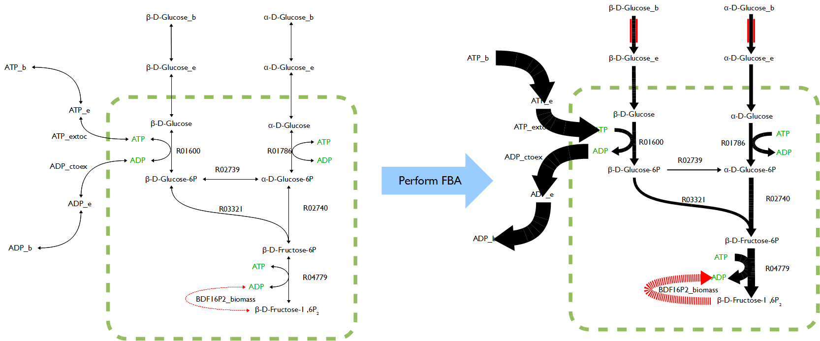 Flux Balance Analysis Wiki Everipedia flux-balance-analysis-wiki-everipedia