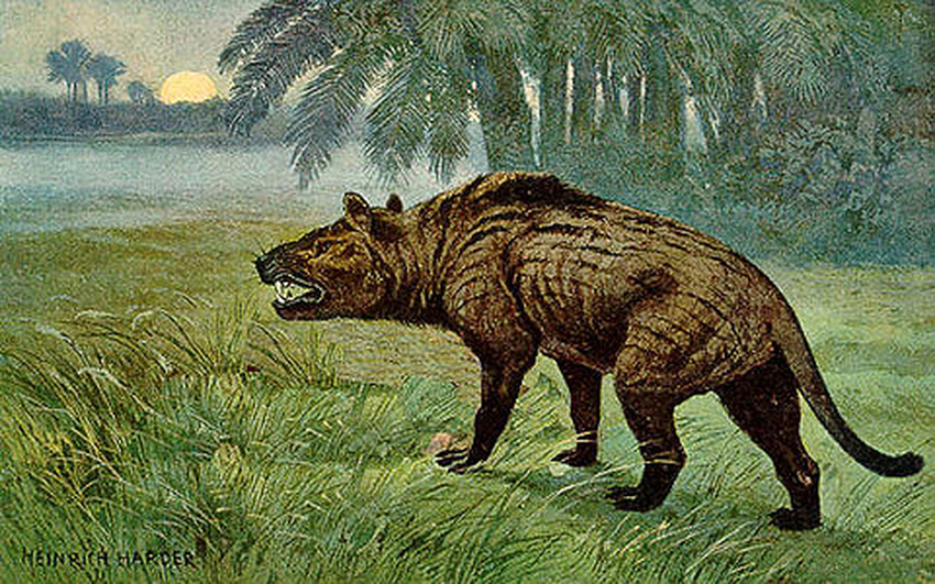 Creodonta | Wiki | Everipedia