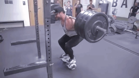 Bradley Martyn Wiki