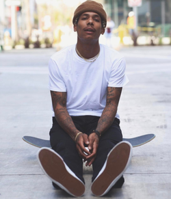 Boo Johnson Wiki & Bio - Skateboarder