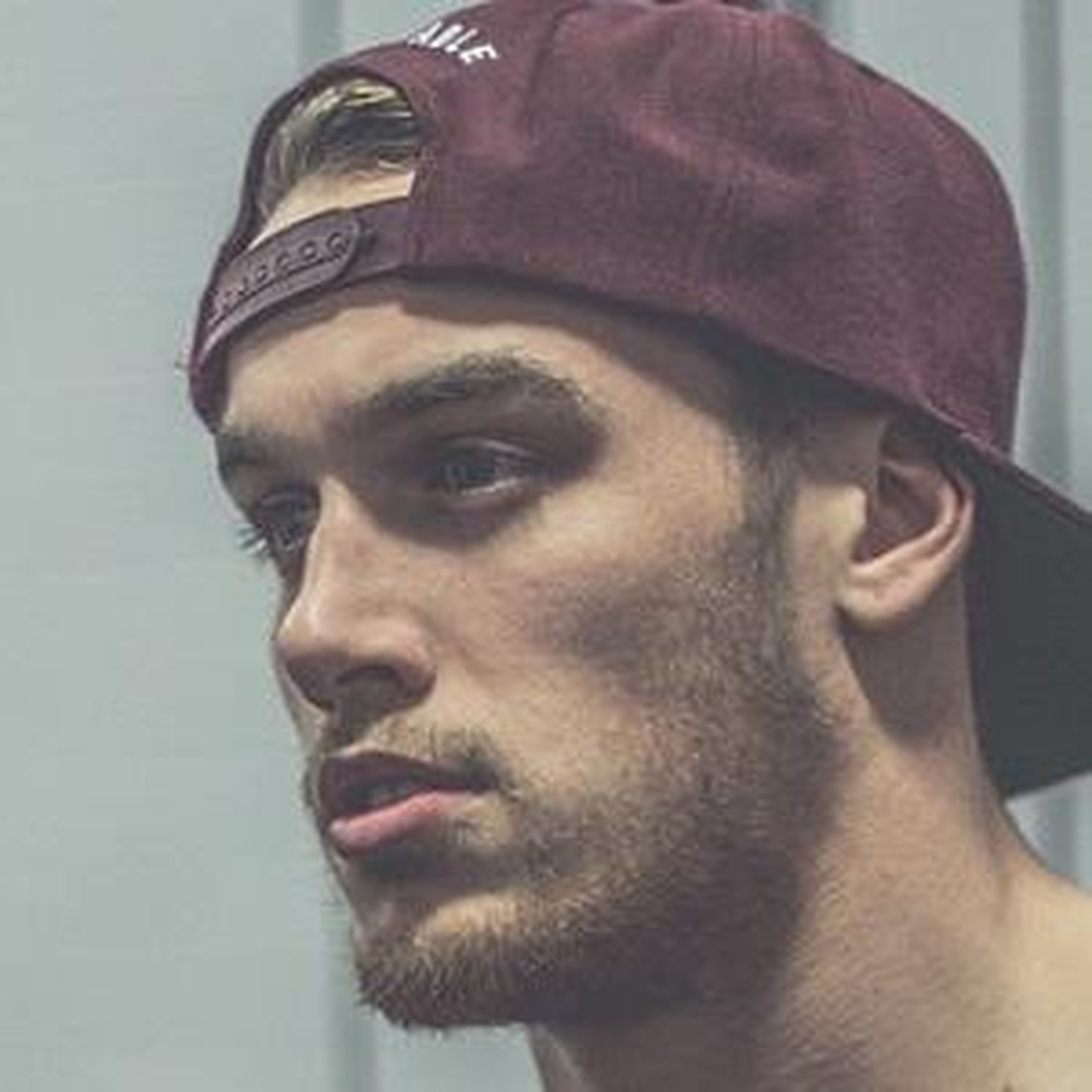 Marc Fitt Wiki