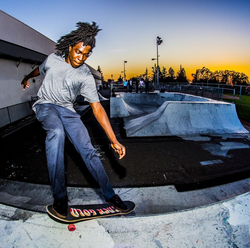 Gary Rogers (Skateboarder) Wiki & Bio - Host Of Skateline