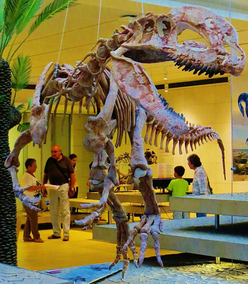 Sinosaurus | Wiki | Everipedia