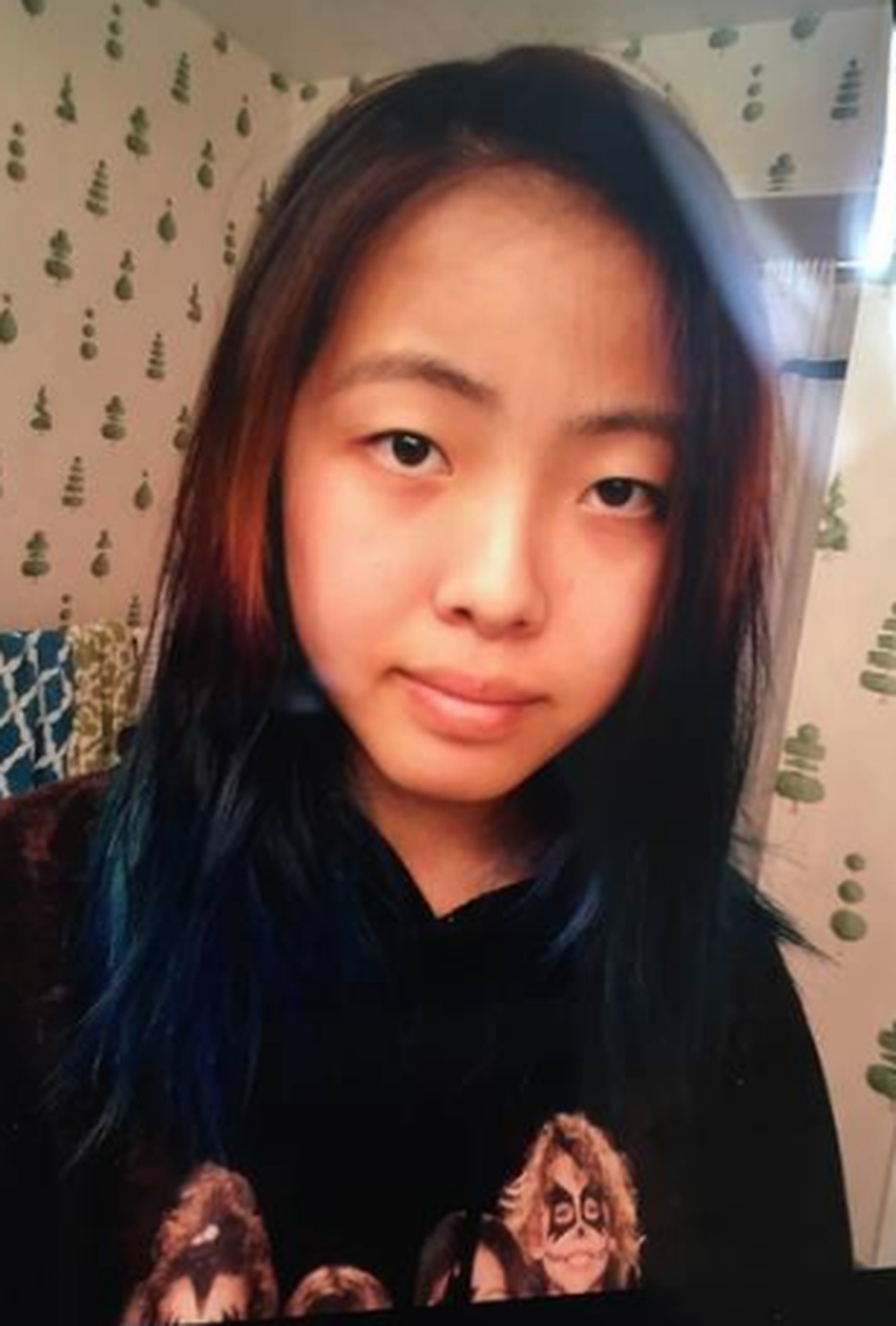 Frances Wang's Instagram, Twitter & Facebook on IDCrawl