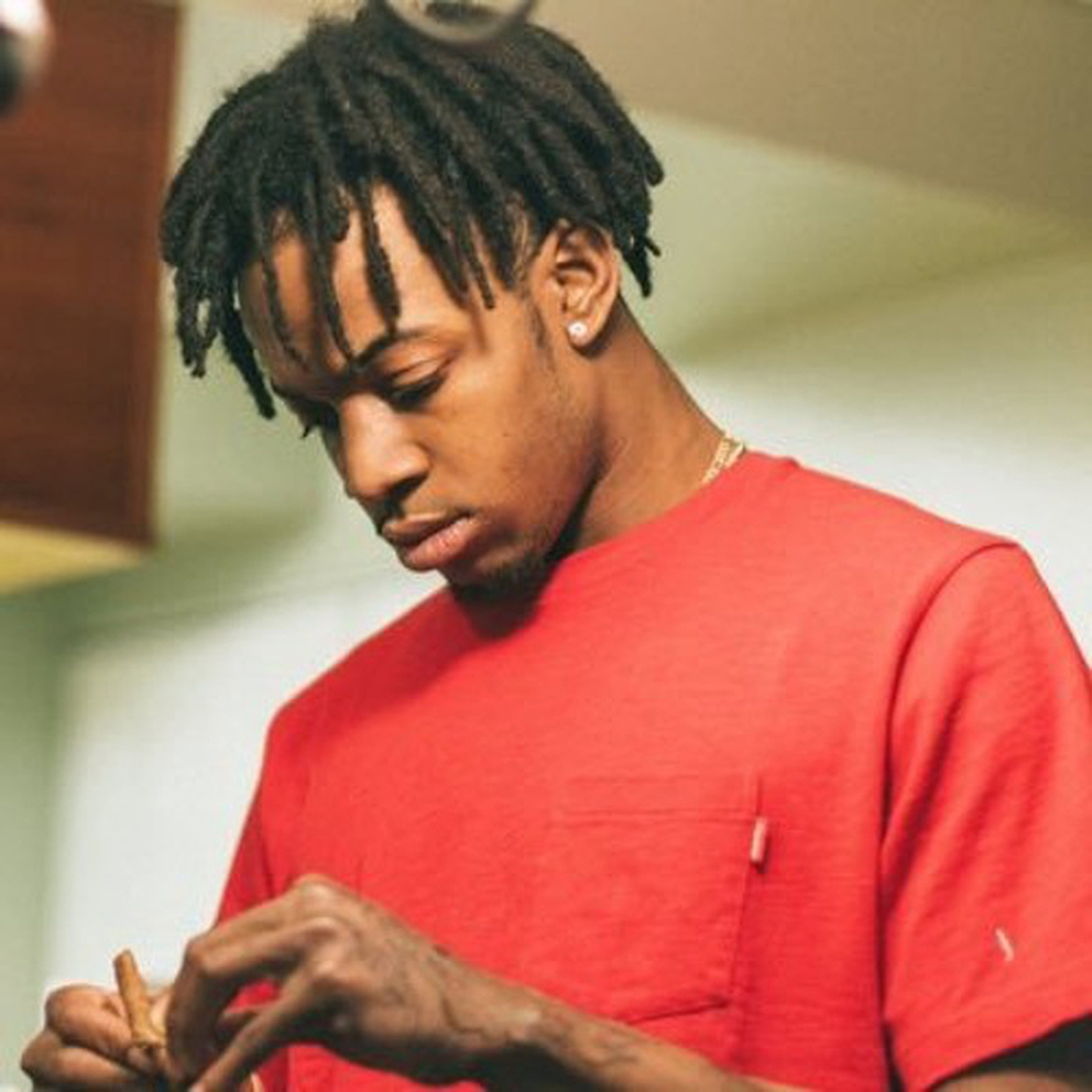 Thouxanbanfauni Wiki