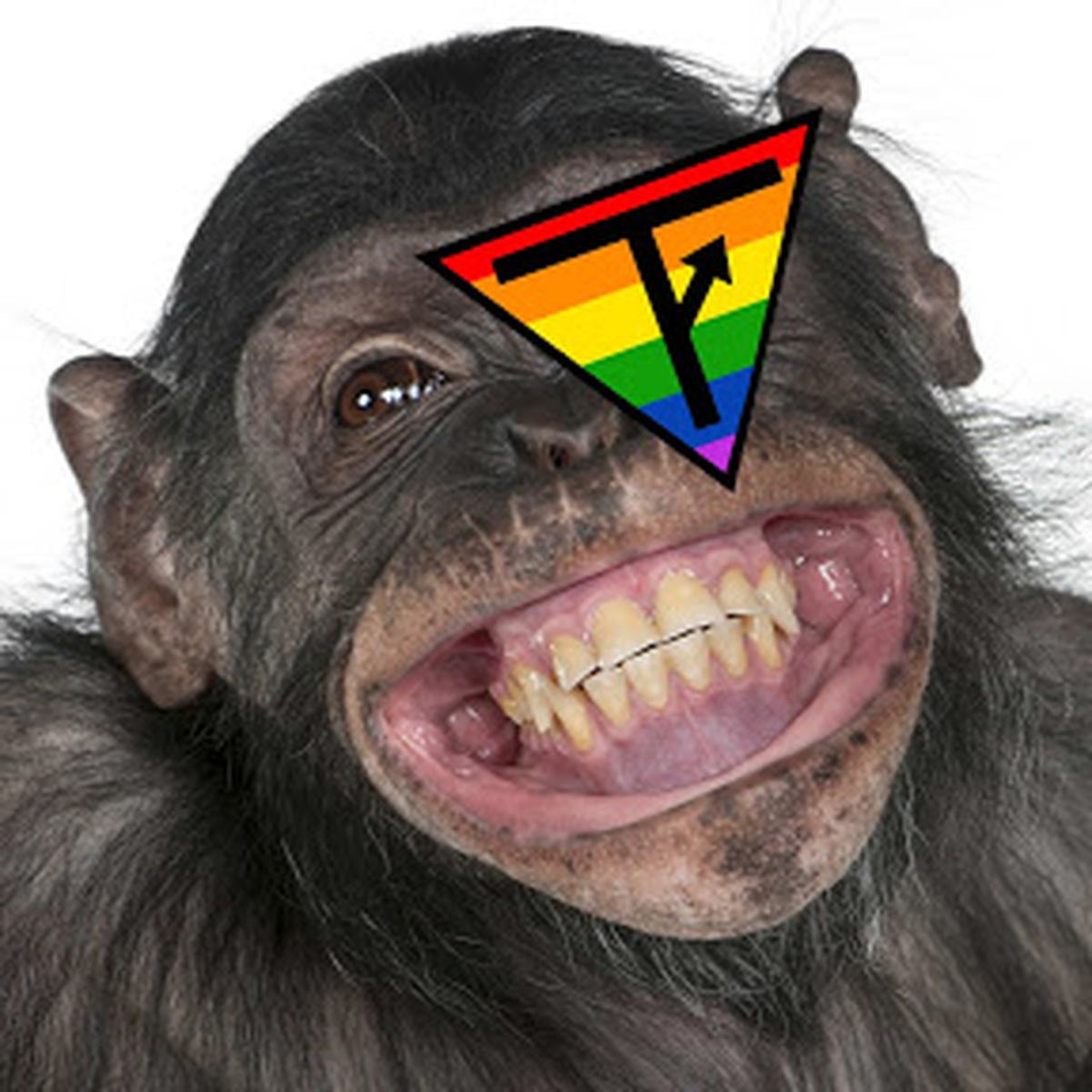 Turd Flinging Monkey Wiki